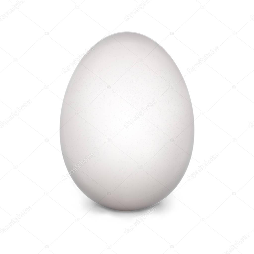 Huevo de pollo. Aislado sobre fondo blanco. Realista en blanco del ...