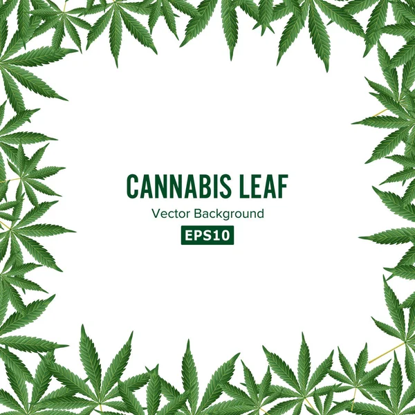 Marijuana Green Leaf Vector. Medicinal Herbs Collection. Cannabis ...