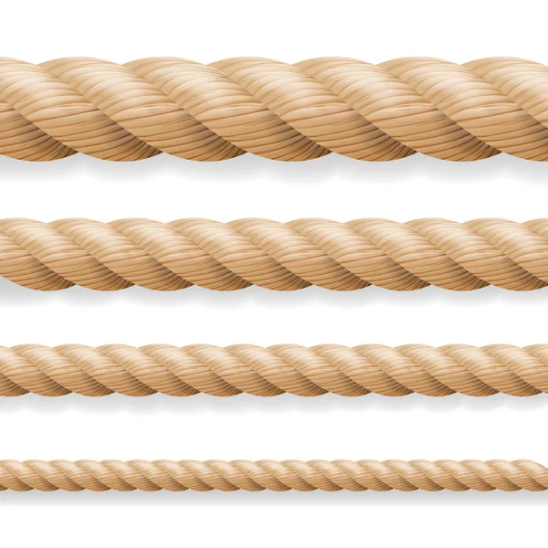 Realistic Rope Vector. Different Color Thickness 3d Rope Line Set ...