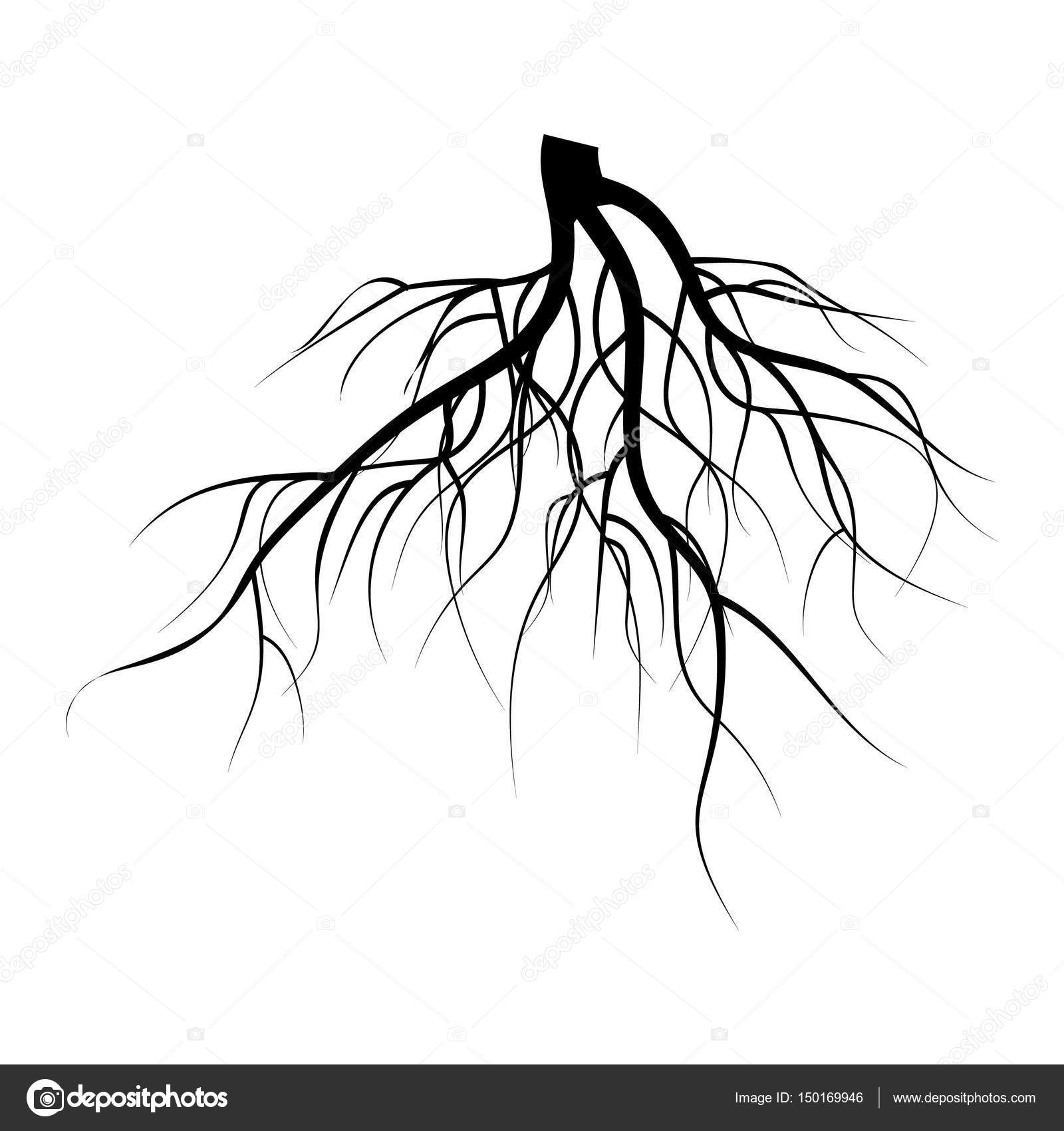 Tree Roots Underground Art