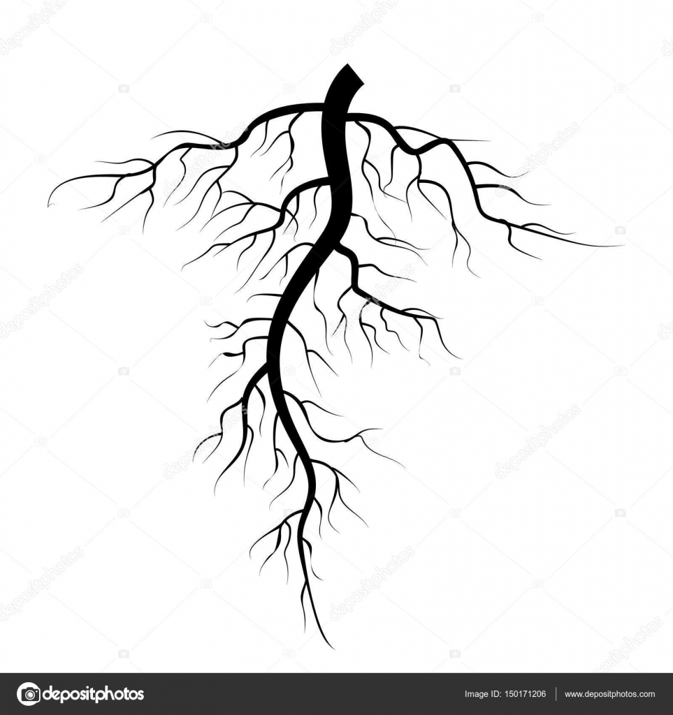 Tree Underground Roots Vector Set. Illustration Isolated On White ...