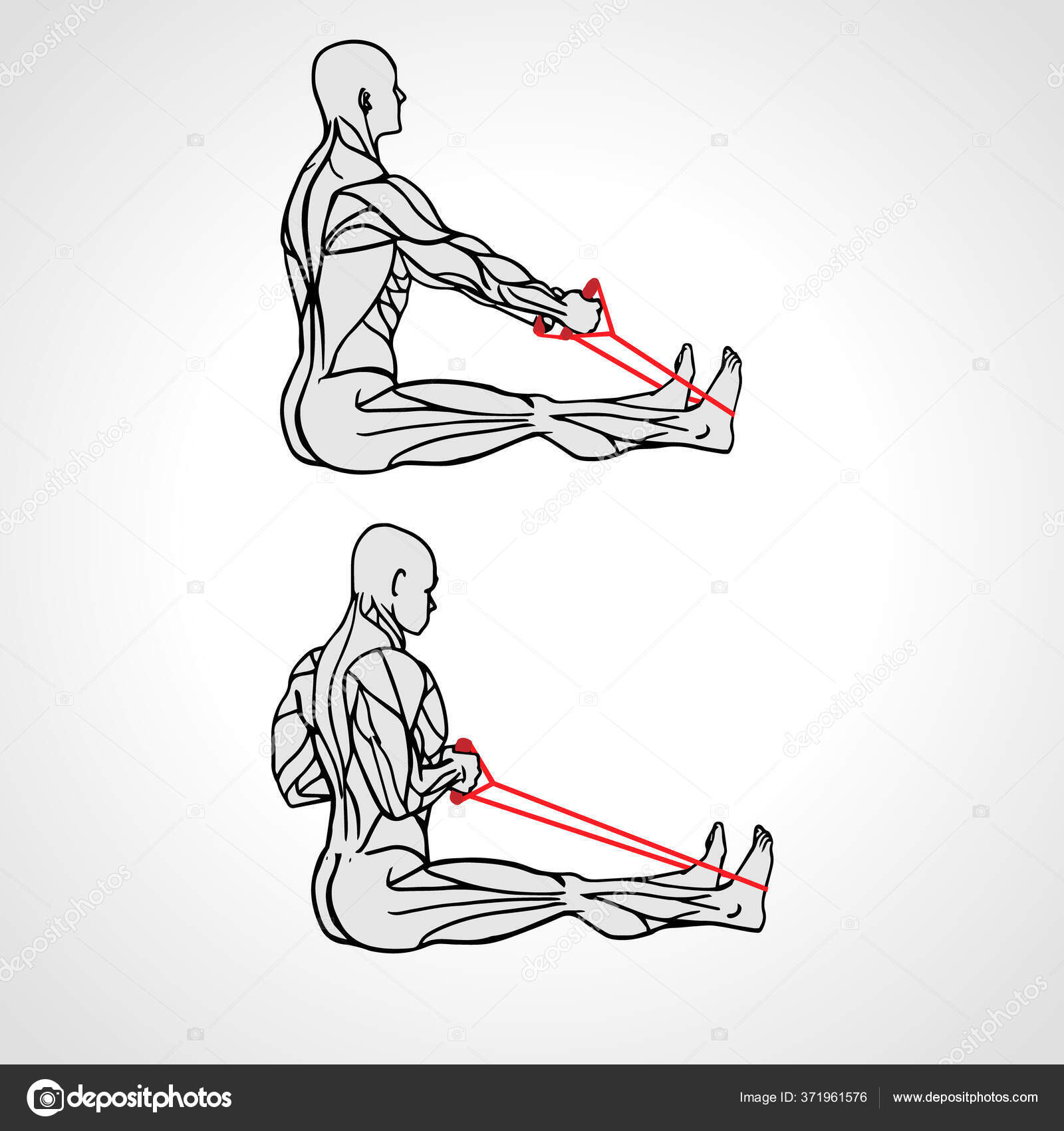 Resistance Band Upper Back Row exercise vector illustration Stock ...