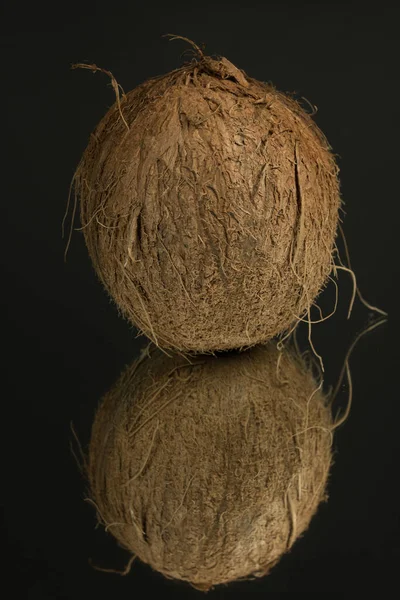 Coco en la arena fotos de stock, imágenes de Coco en la arena sin ...