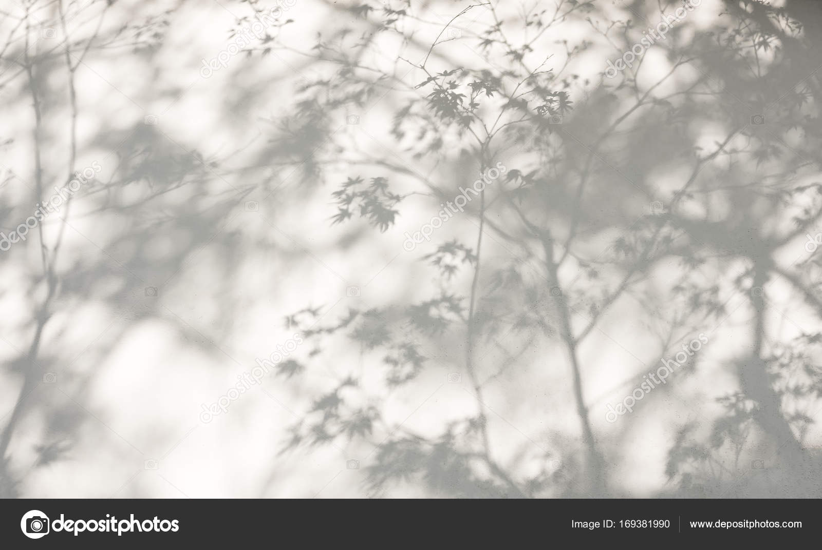 Tree Leaves Shadow Wall Nature Abstract Background Stock Photo by ...