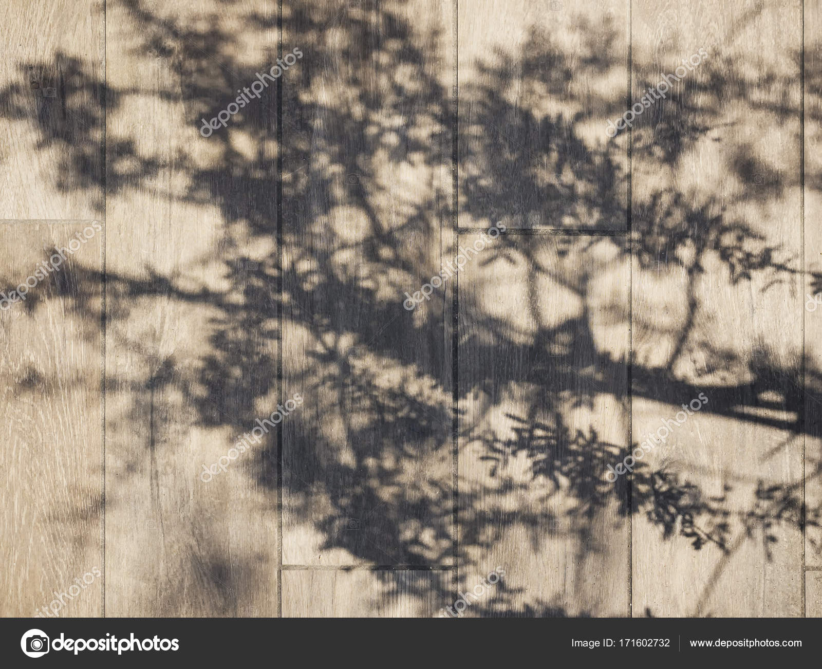 Tree leaves shadow on Wooden texture Nature Abstract background Stock ...