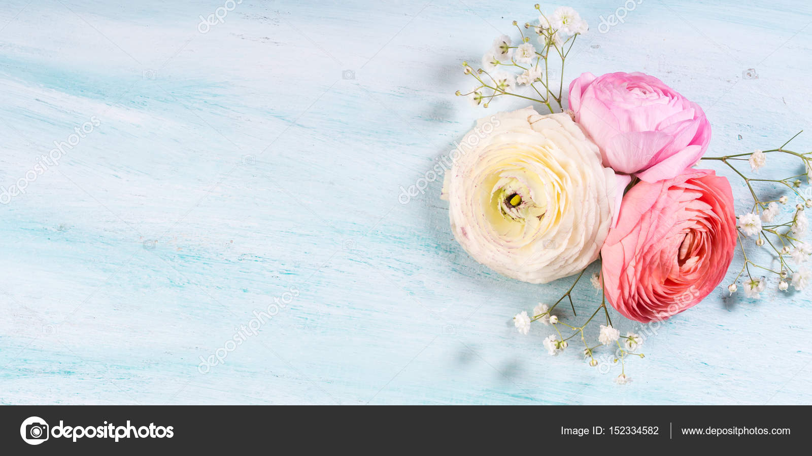 Beautiful Flower Frame Background Wallpaper | Best Flower Site