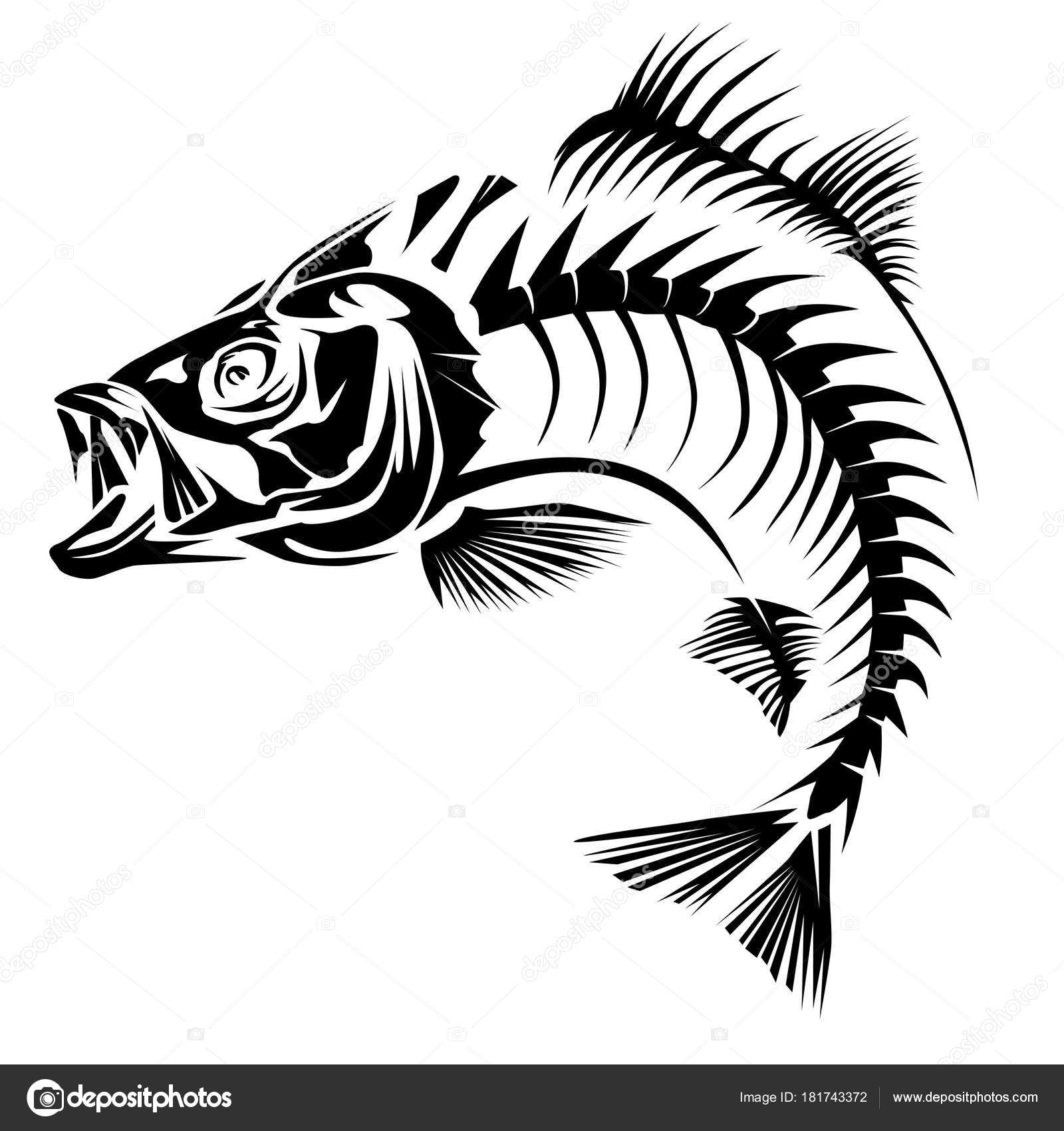 Bass skeleton isolated on white Stock Vector by ©LIORIKI 181743372