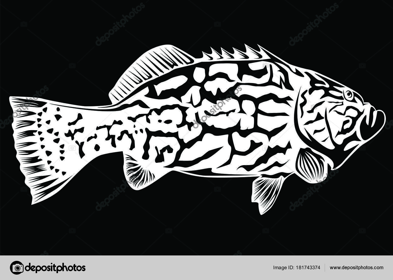 Black grouper on black Stock Vector Image by ©LIORIKI #181743374