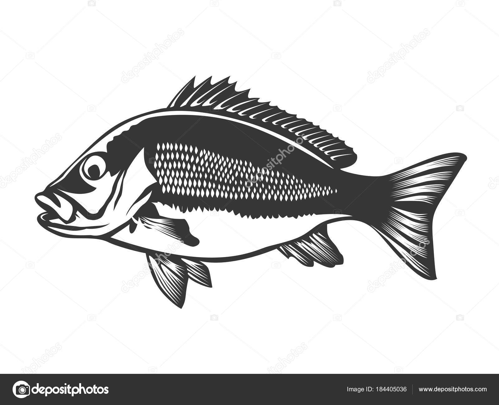 Red snapper 2 Stock Vector Image by ©LIORIKI #184405036