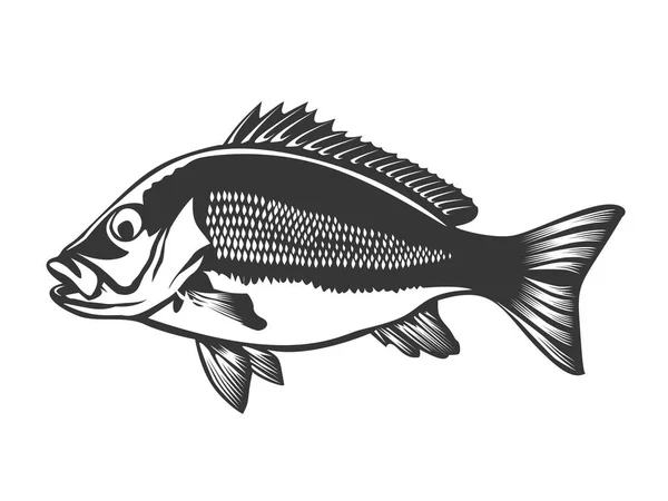 Red snapper fish icon Vector Art Stock Images | Depositphotos