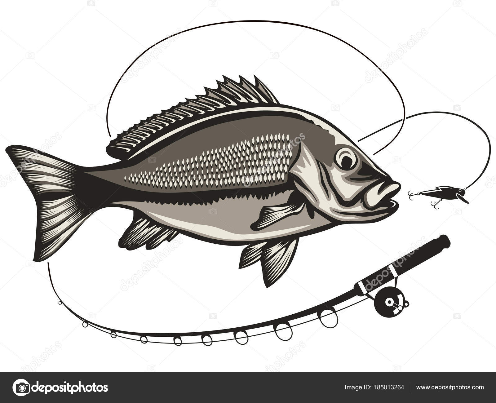 Red snapper retro logo Stock Illustration by ©LIORIKI #185013264