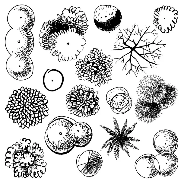 Tree Drawing Top View