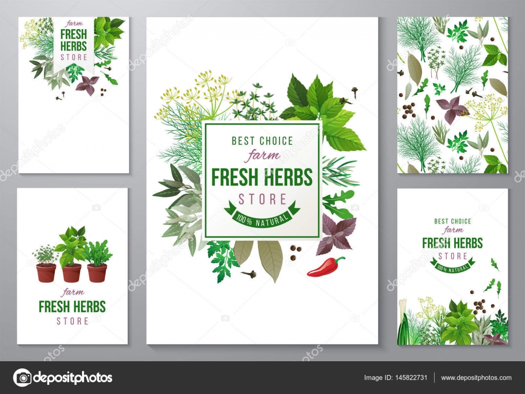 Bright backgrounds with fresh herbs Stock Vector Image by ©mart_m ...