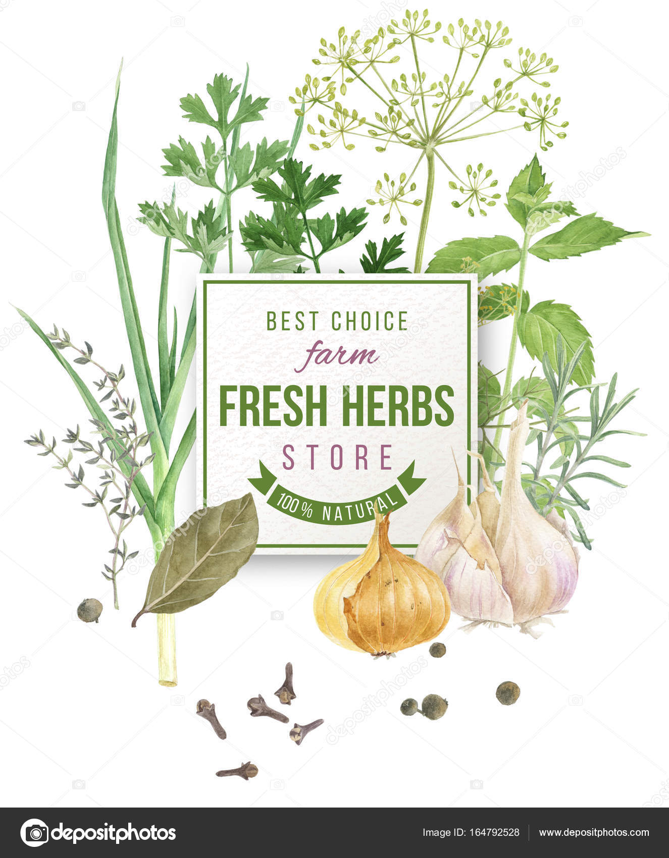 Watercolor herbs and spices Stock Illustration by ©mart_m #164792528