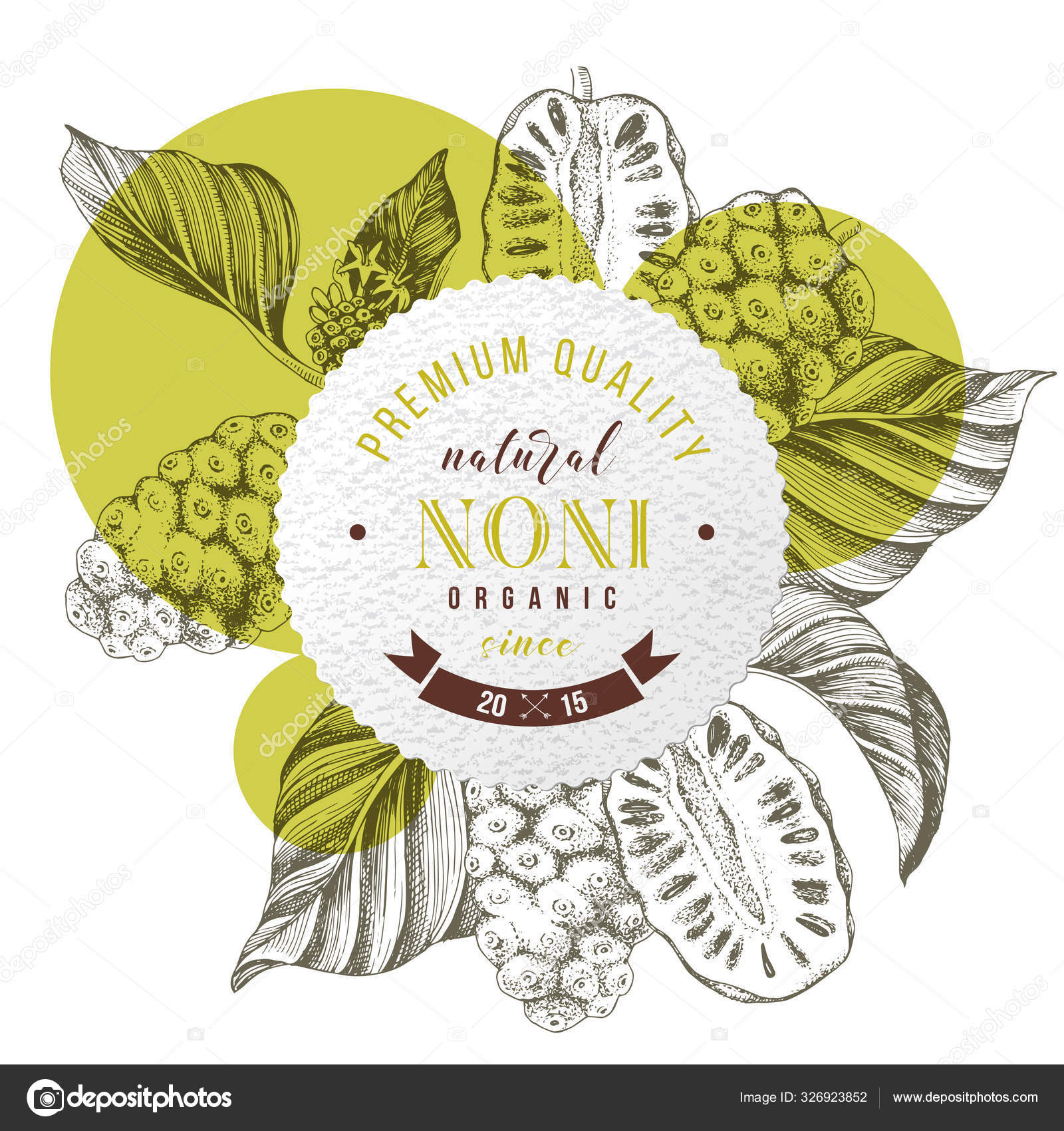 Round emblem with hand drawn noni Stock Vector Image by ©mart_m #326923852