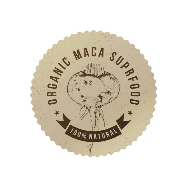 Maca root Vector Art Stock Images | Depositphotos