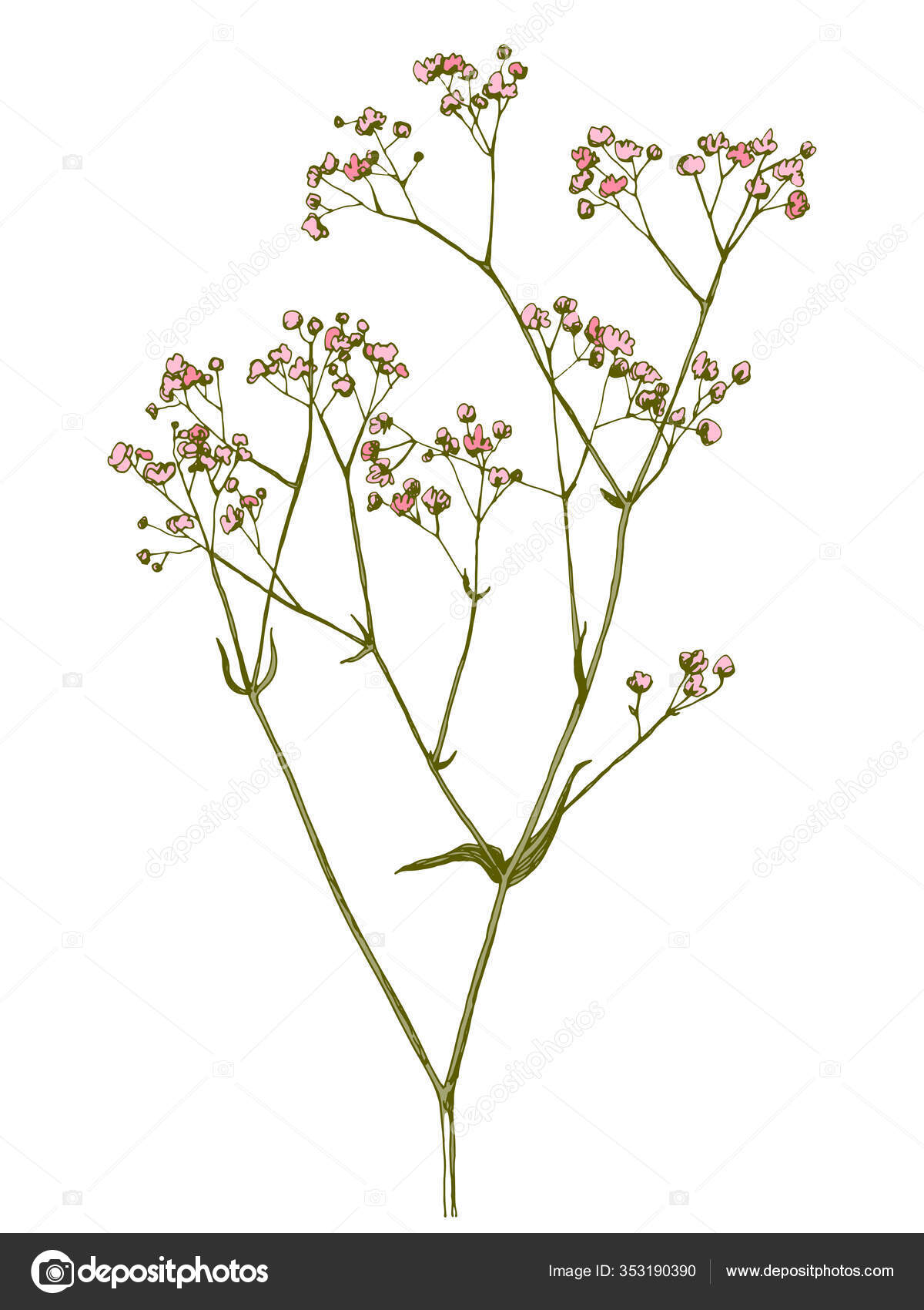 Hand drawn gypsophila branch Stock Vector Image by ©mart_m #353190390