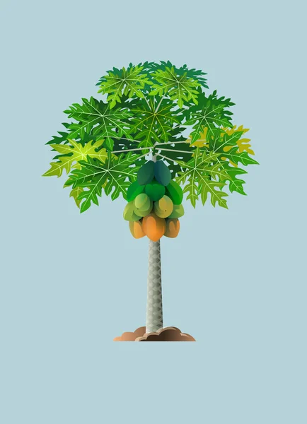 Papaya Tree Drawing For Kids