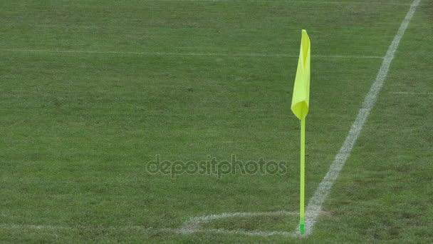 47 Spot pitch Videos, Royalty-free Stock Spot pitch Footage | Depositphotos