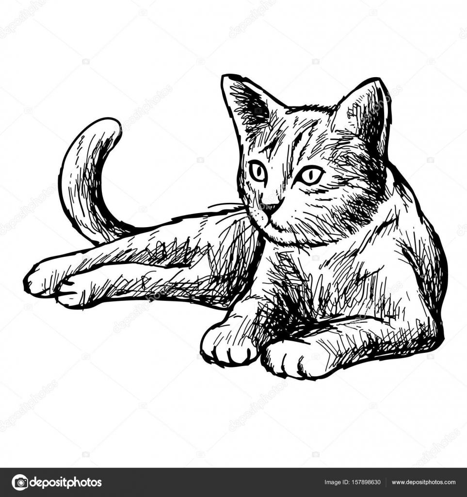 Freehand sketch illustration of little cat Stock Illustration by ... Freehand sketch illustration of little cat Stock Illustration by ...