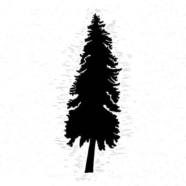 Cedar Tree Silhouette