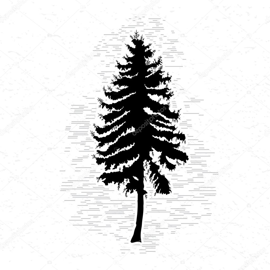 Images: drawn tree | Hand drawn fir tree silhouette — Stock Photo ...