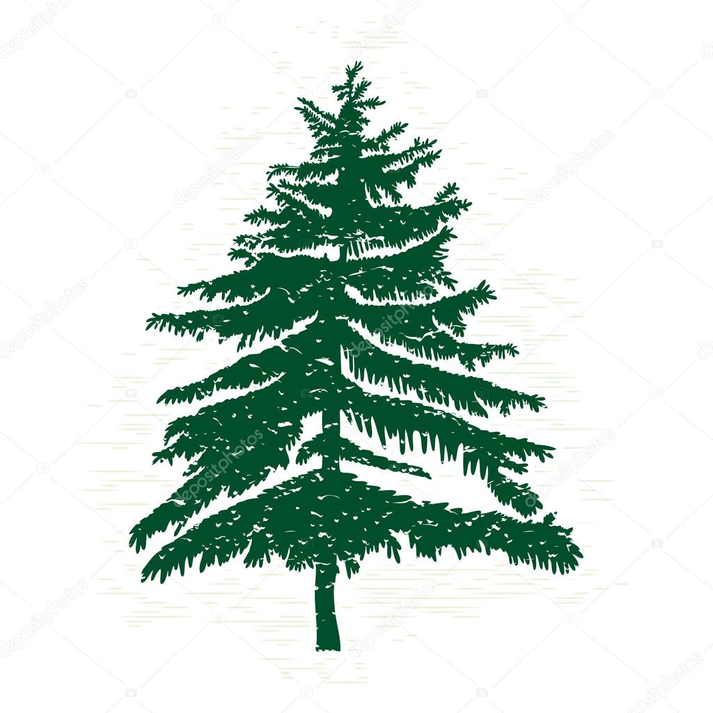 Hand drawn textured fir tree — Stock Photo © goldenshrimp #126329794