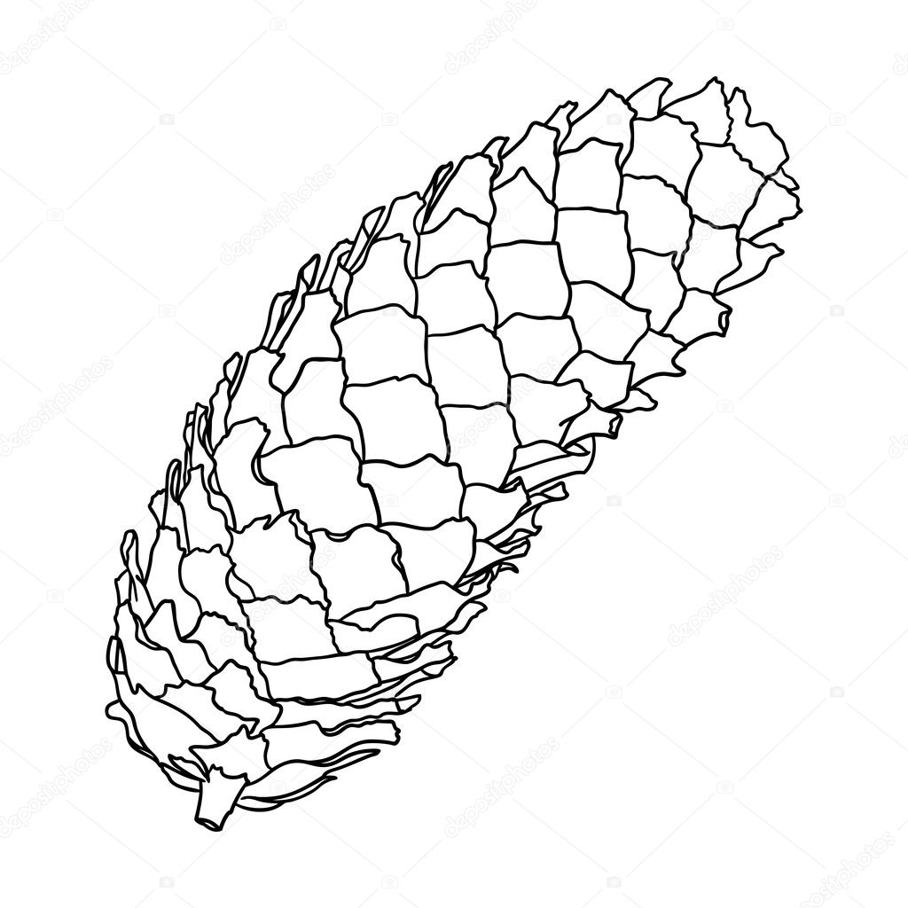 Easy Pine Cone Drawing