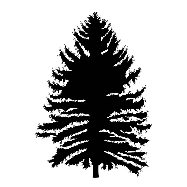 Hand drawn fir tree sketch Stock Photo by ©goldenshrimp 129610996
