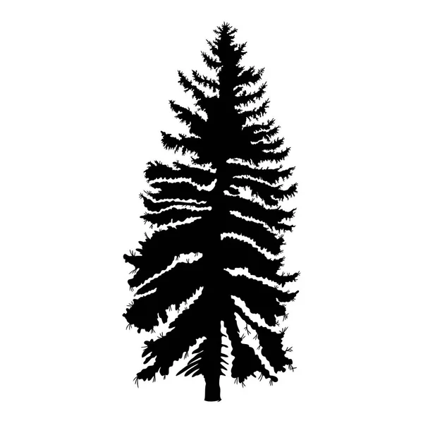 Hand drawn fir tree sketch Stock Photo by ©goldenshrimp 129610996
