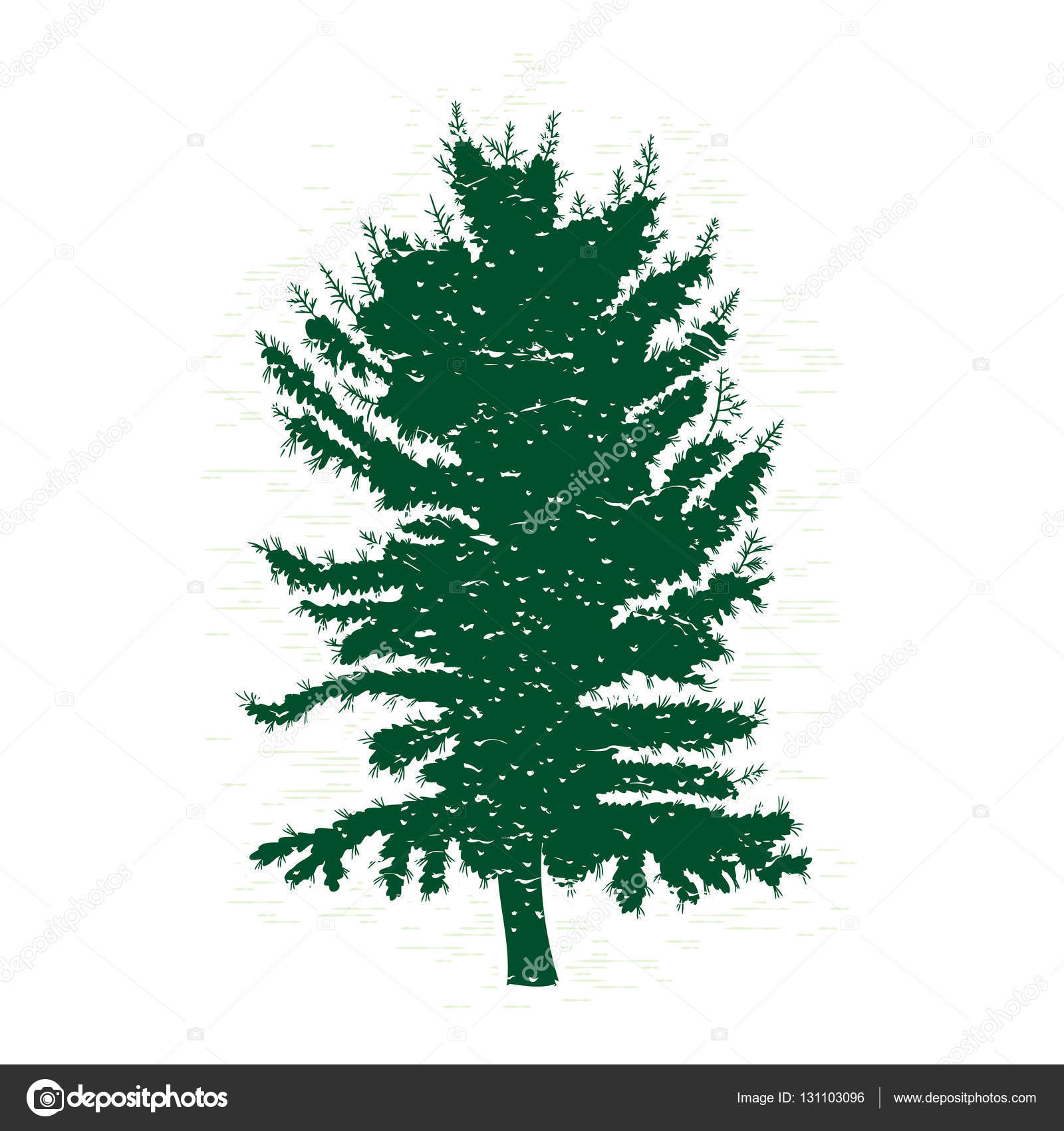 Silhouette of pine tree — Stock Photo © goldenshrimp #131103096