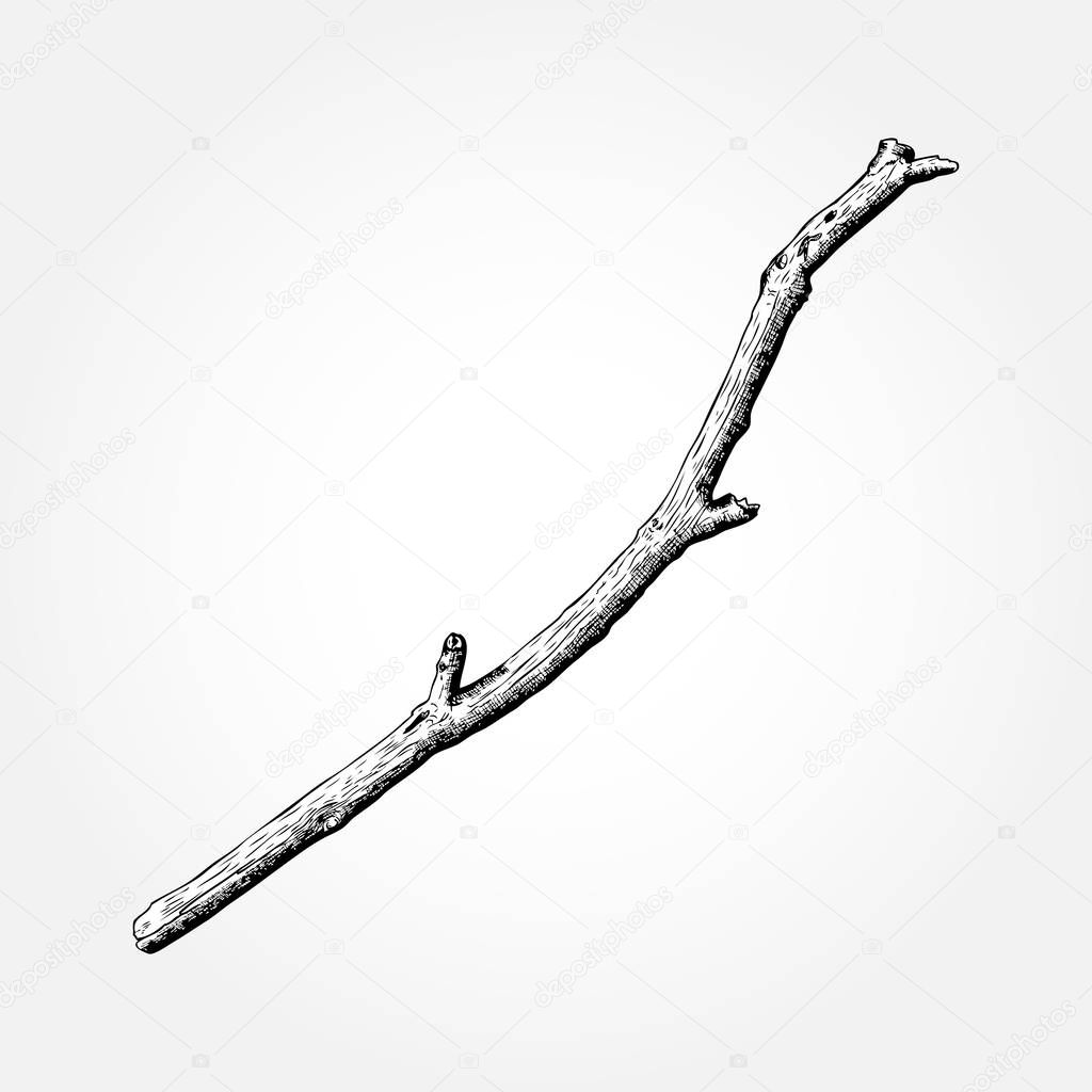Hand drawn wood twig — Stock Vector © goldenshrimp #135602872