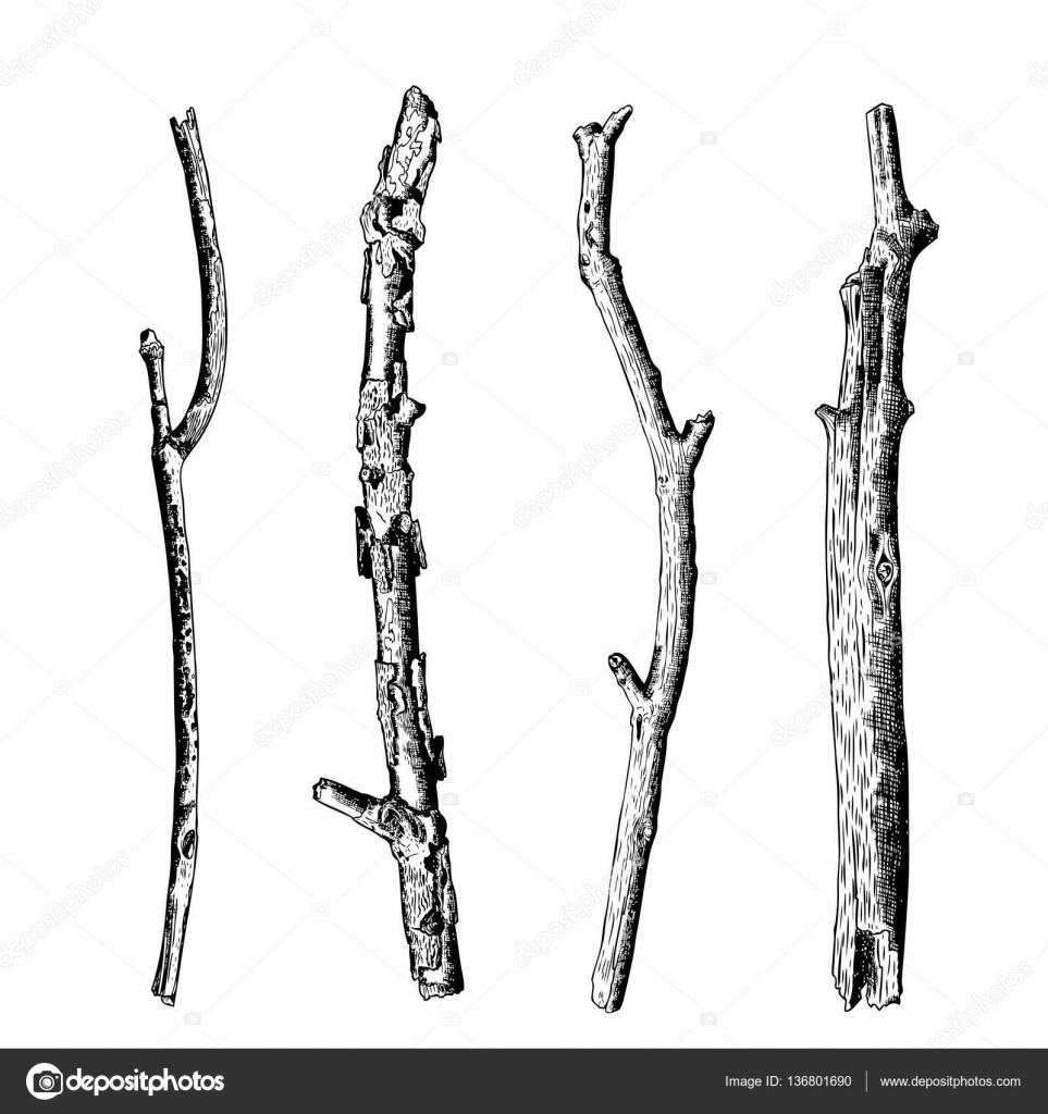 Hand drawn wood twig set Stock Vector by ©goldenshrimp 136801690