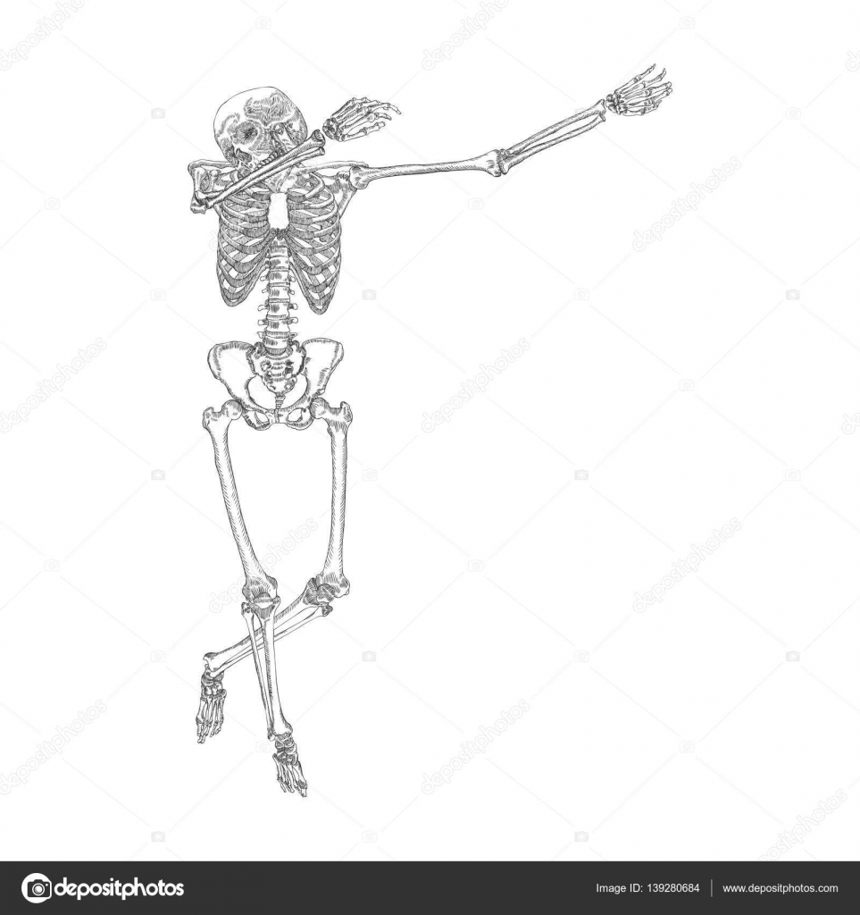 Human skeleton dancing Stock Vector Image by ©goldenshrimp #139280684