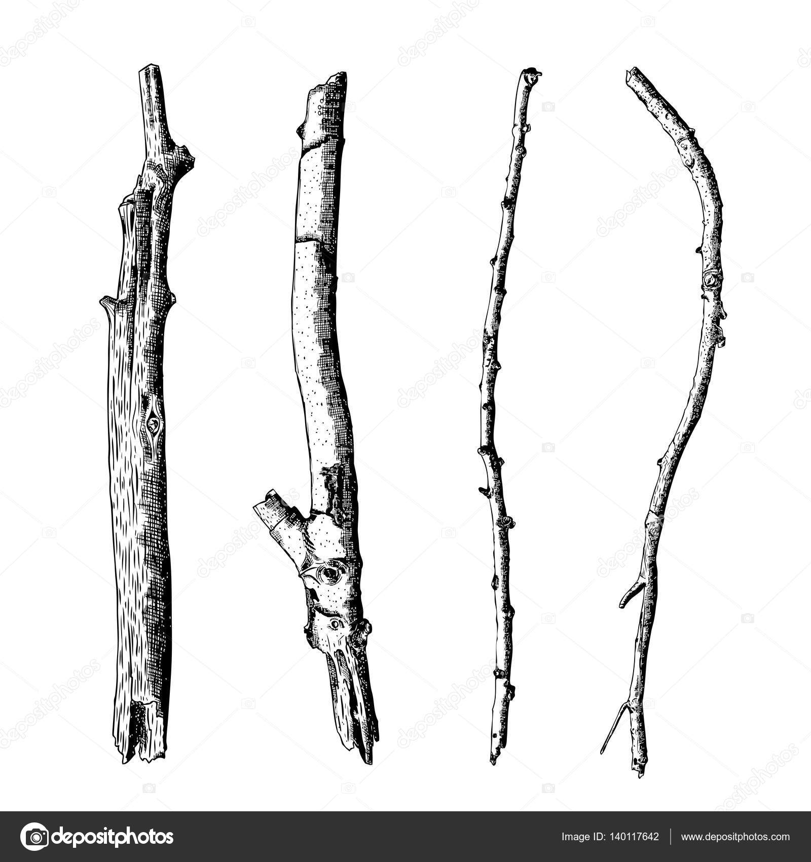 Hand drawn wood twig set Stock Vector by ©goldenshrimp 140117642