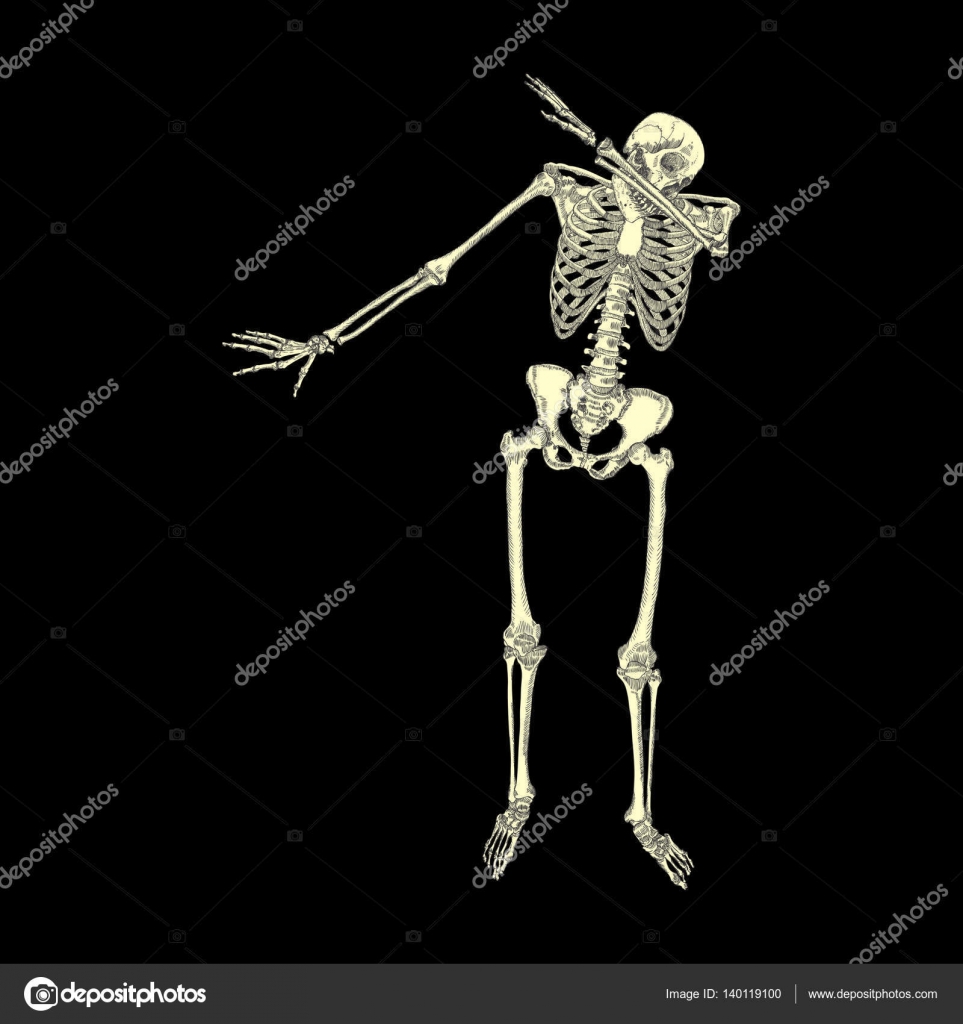 Human skeleton dancing Stock Vector by ©goldenshrimp 140119100