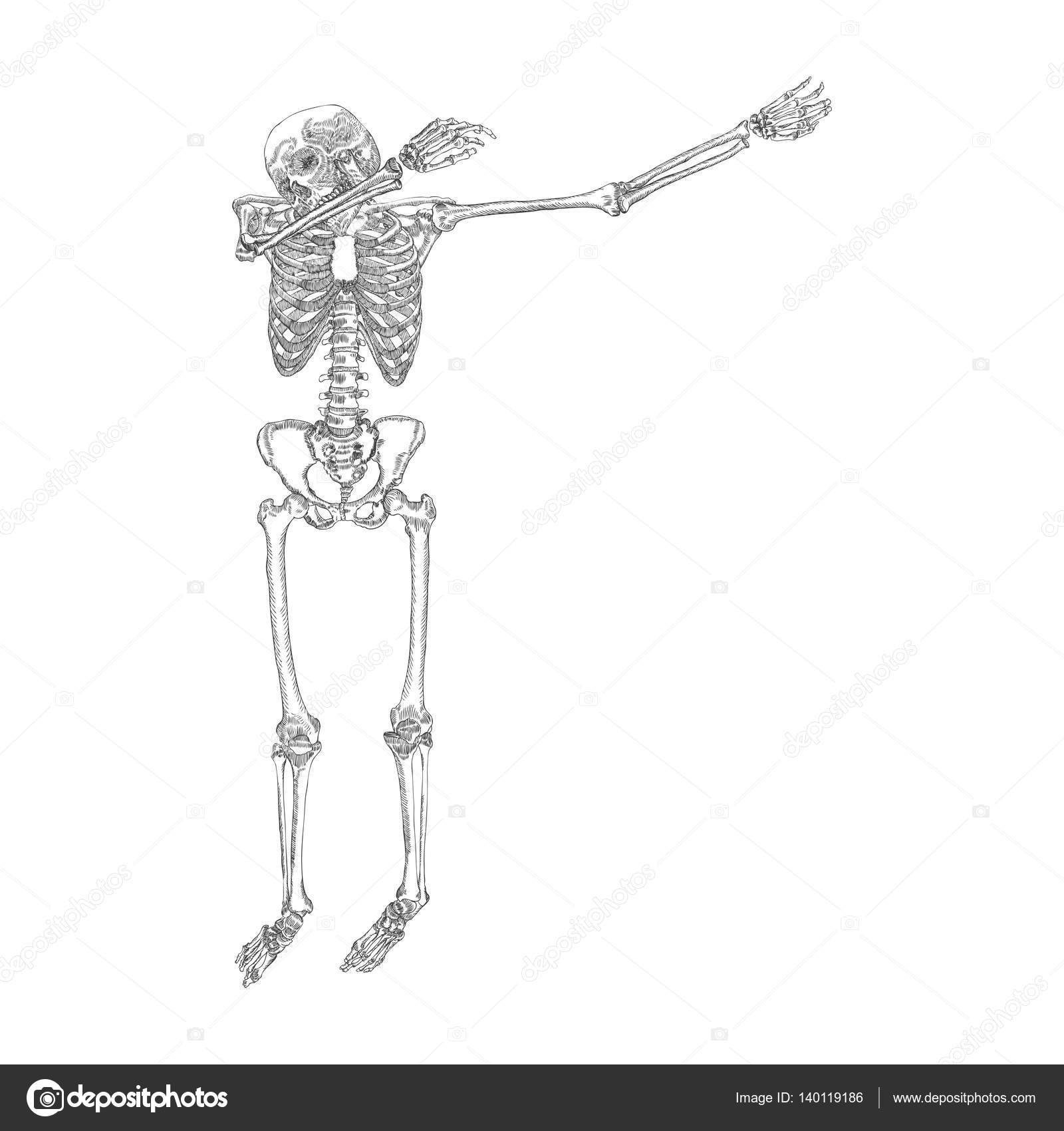 Human Skeleton Drawing Pose