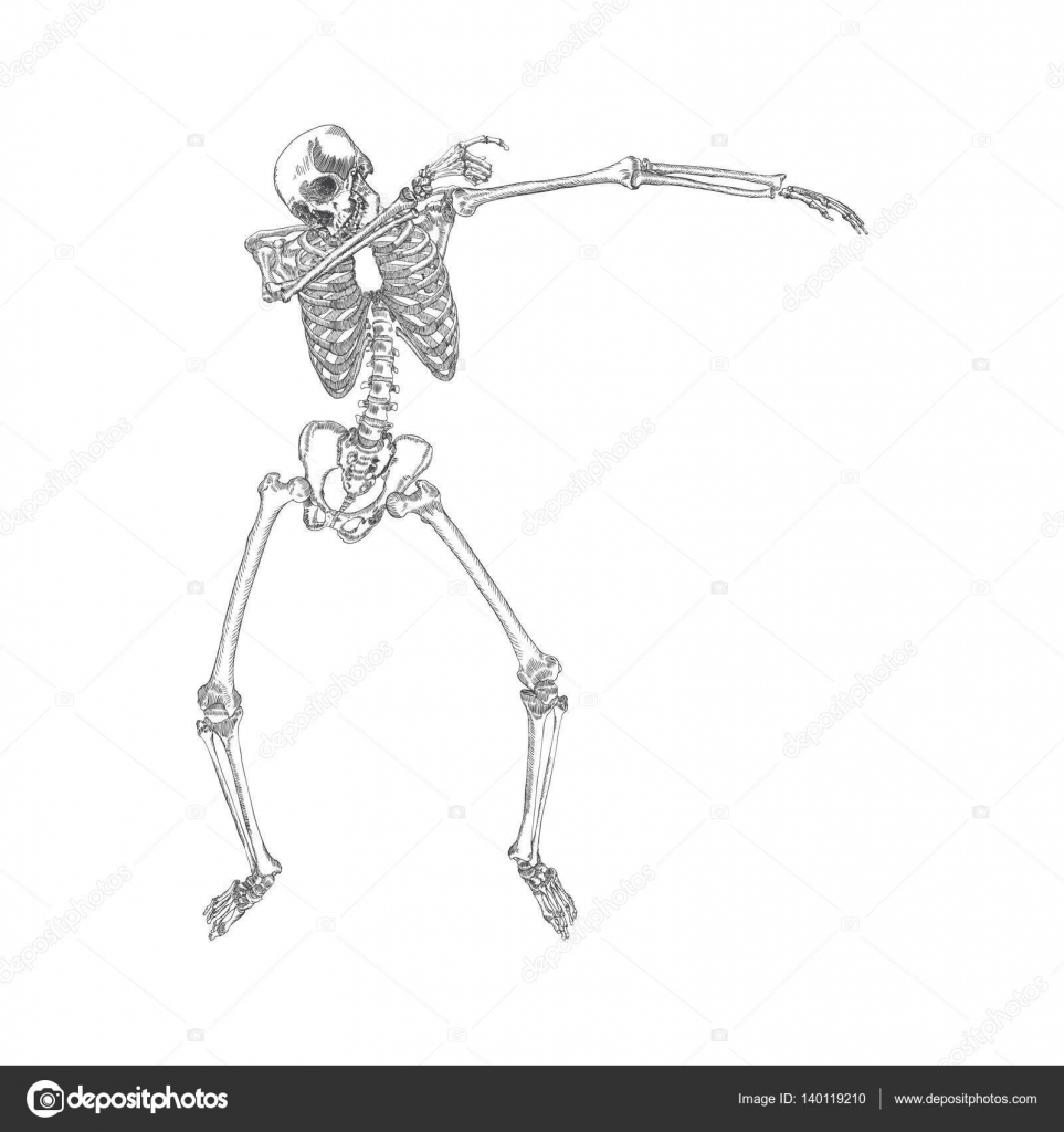 Xray View Of Posing Human Skeleton Anatomical 3d