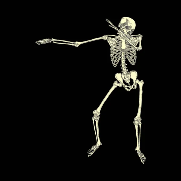 Human skeleton dancing — Stock Vector © goldenshrimp #139280582