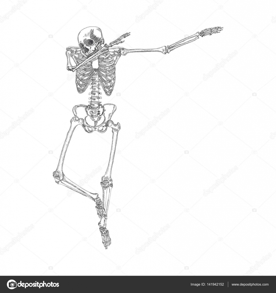 Human Skeleton Drawing Pose