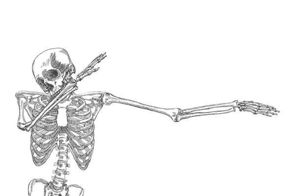 Human skeleton dancing — Stock Vector © goldenshrimp #139280780