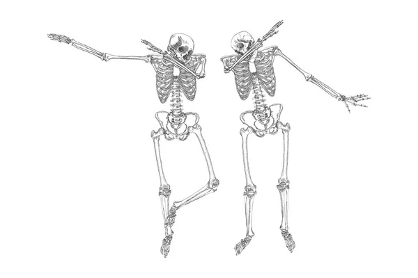 Human skeleton dancing — Stock Vector © goldenshrimp #139280780