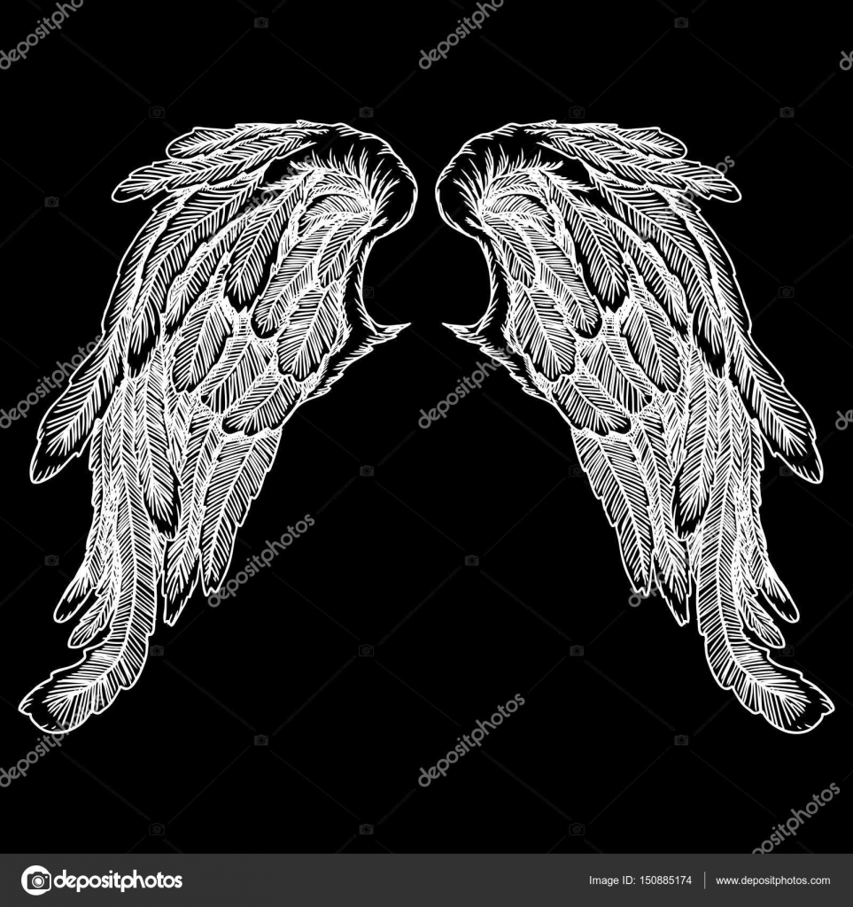 Conjunto de alas extendidas Vector de stock #150885174 de ©goldenshrimp