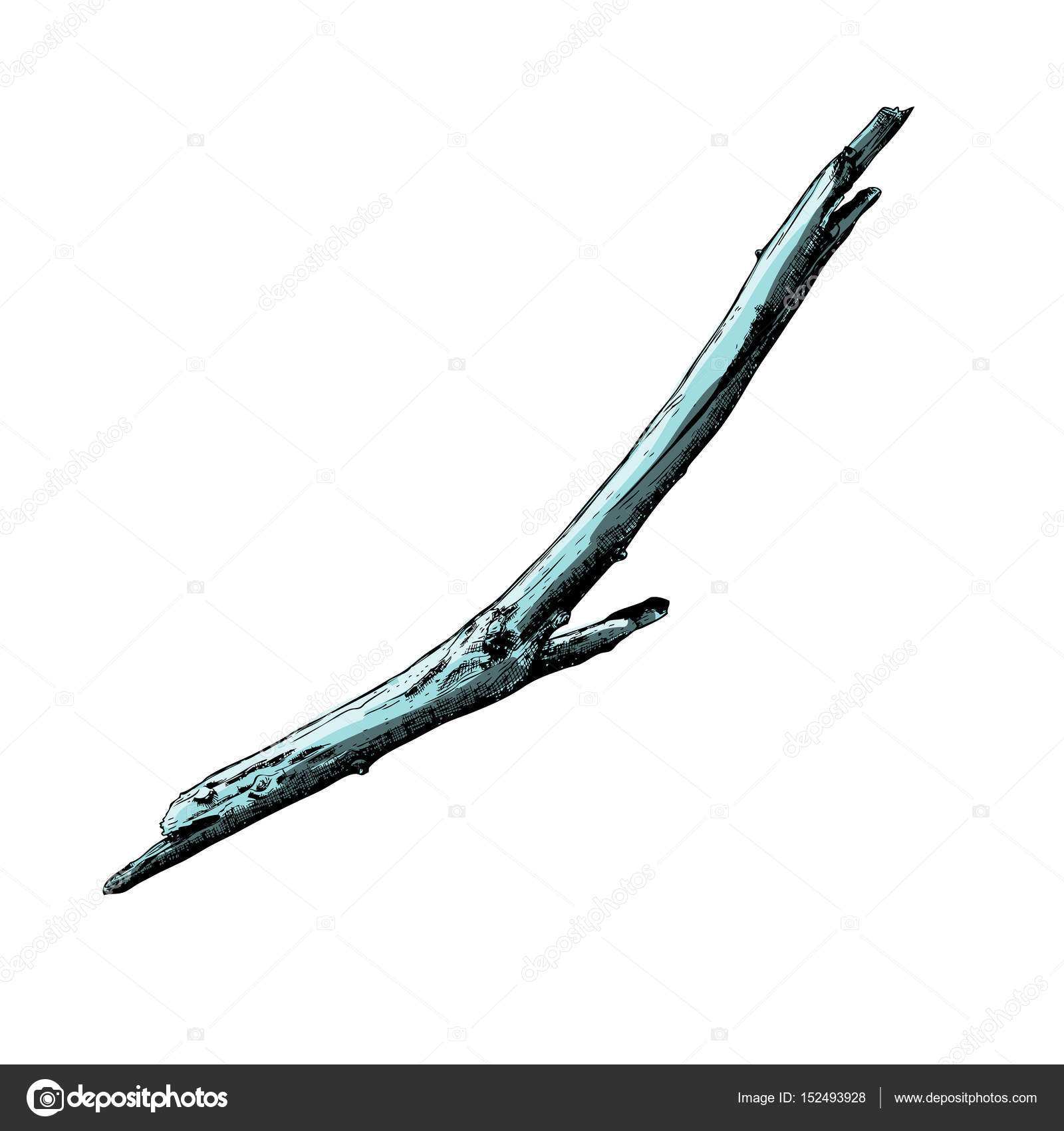 Hand painted watercolor twig — Stock Photo © goldenshrimp #152493928