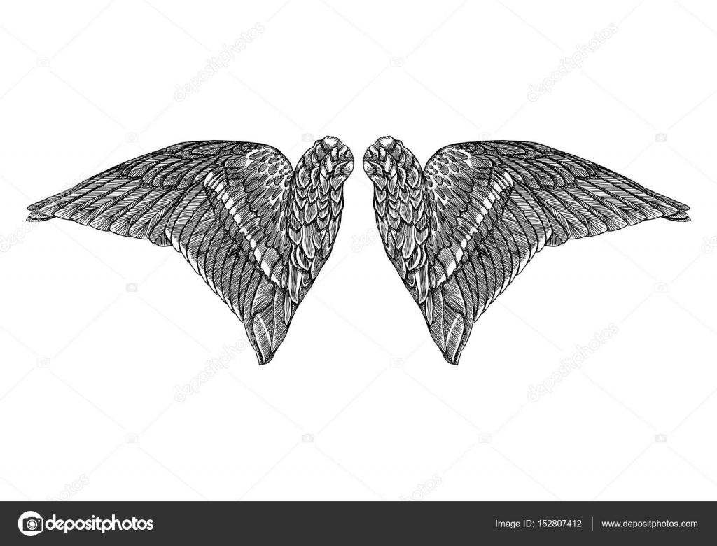 Hand drawn vintage wings pair — Stock Vector © goldenshrimp #152807412
