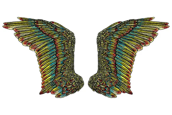 Colorful wing drawing Stock Vector Image by ©goldenshrimp #158257488