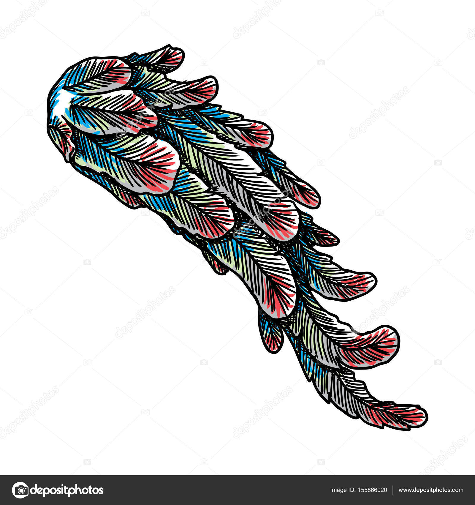 Vintage colourful wing drawing Stock Vector by ©goldenshrimp 155866020