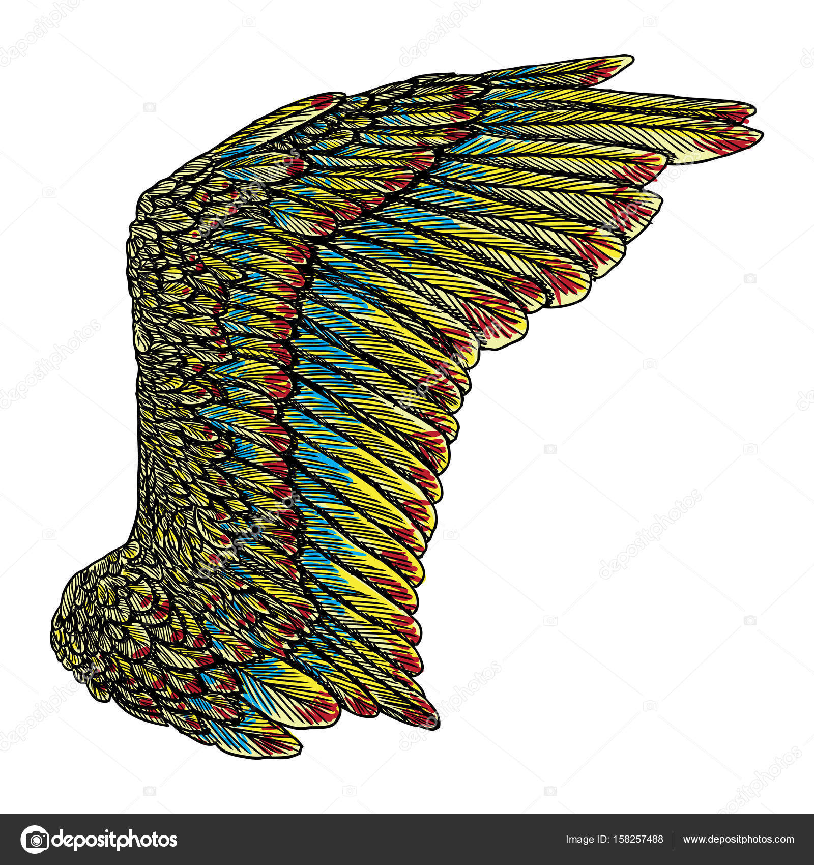 Colorful wing drawing Stock Vector Image by ©goldenshrimp #158257488