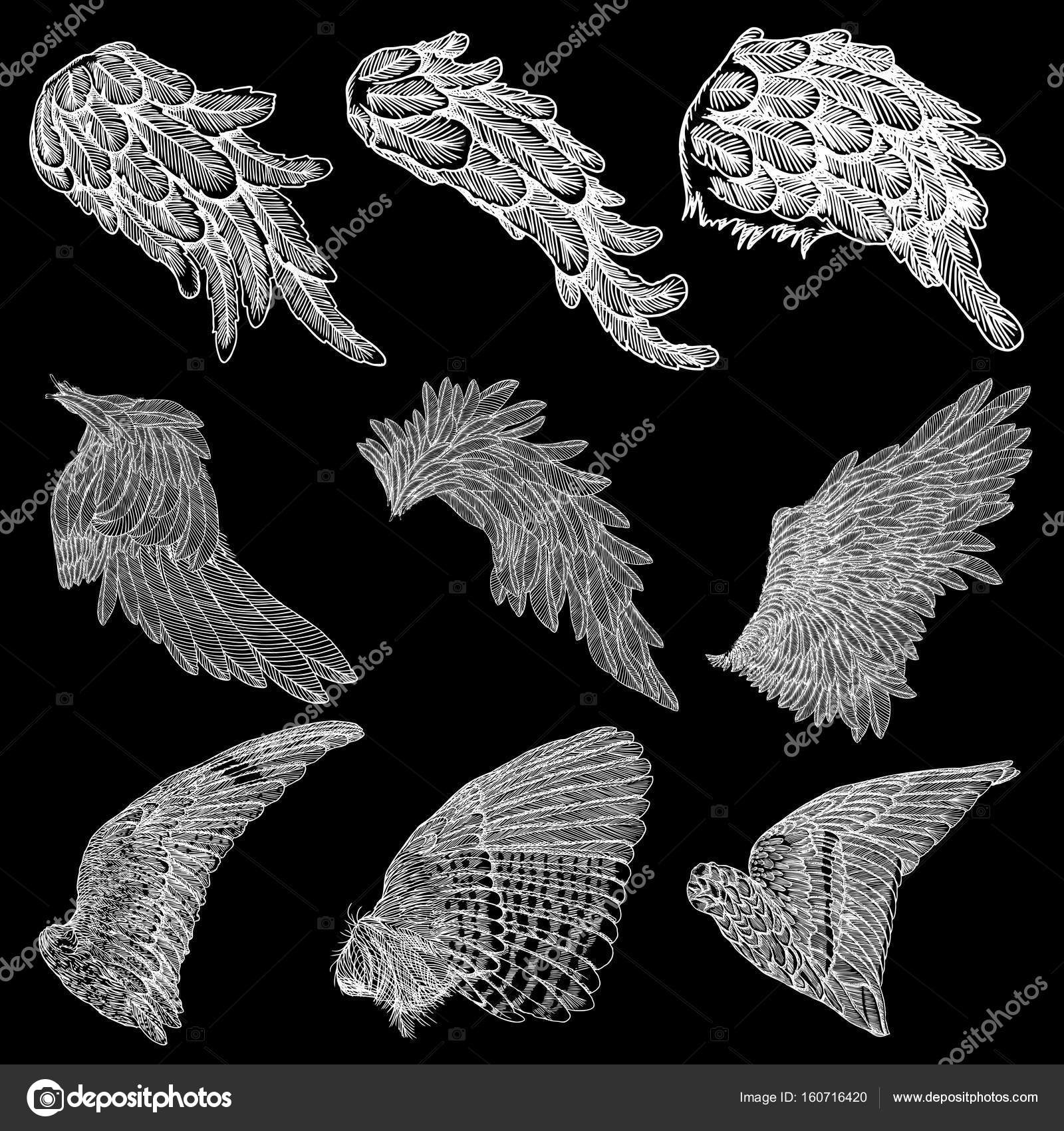 Hand drawn bird wings set Stock Vector by ©goldenshrimp 160716420