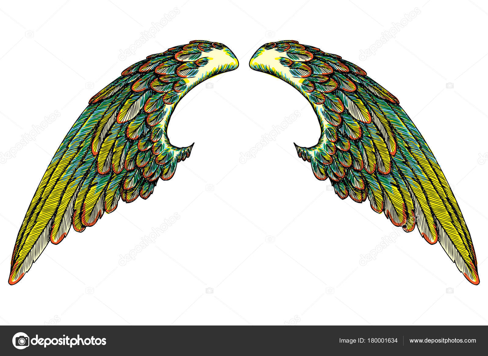 Pair of colorful spread out eagle bird or angel wings. Stock Vector ...
